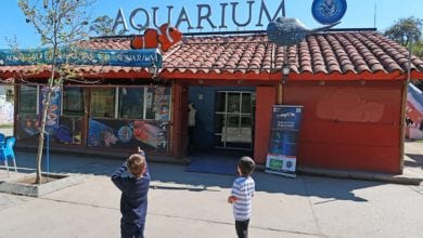 MAMPATO - Parque de diversiones - Panoramas con Niños